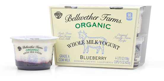 bellwether-yogurt-blueberry-cow-for-web