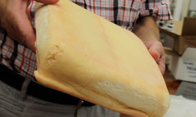 click here to read more about Franklin's Teleme