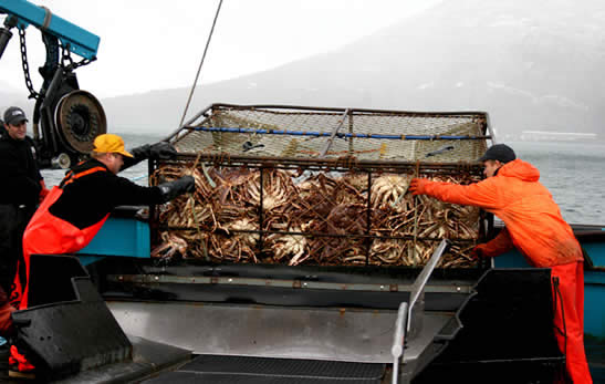 Fortune Fish: The Seafood Specialists - Midwest's Fresh & Frozen ...